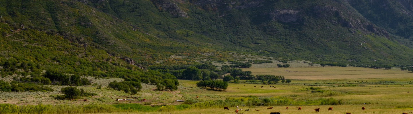 Our Team - Fermiuranium